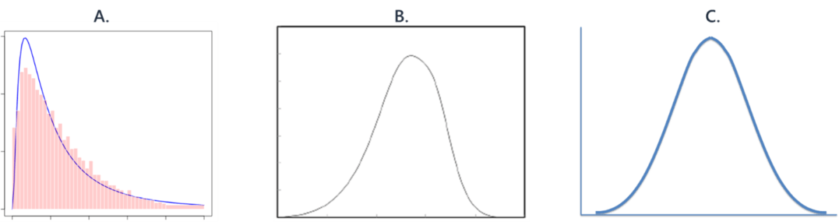 What Does the Distribution of Vertical Development Look Like? And What ...