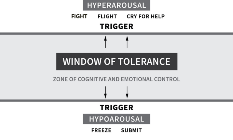 Window of Tolerance - Ryan Gottfredson