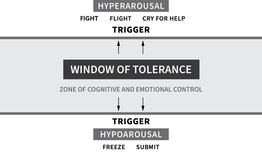 Window of Tolerance - Ryan Gottfredson