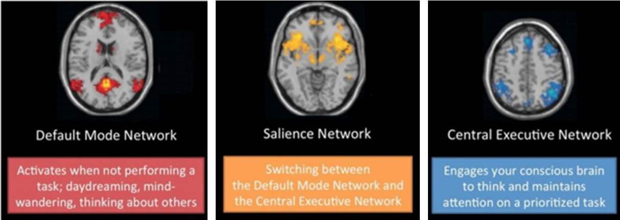 The Connection Between Leadership, ADHD, and Vertical Development ...