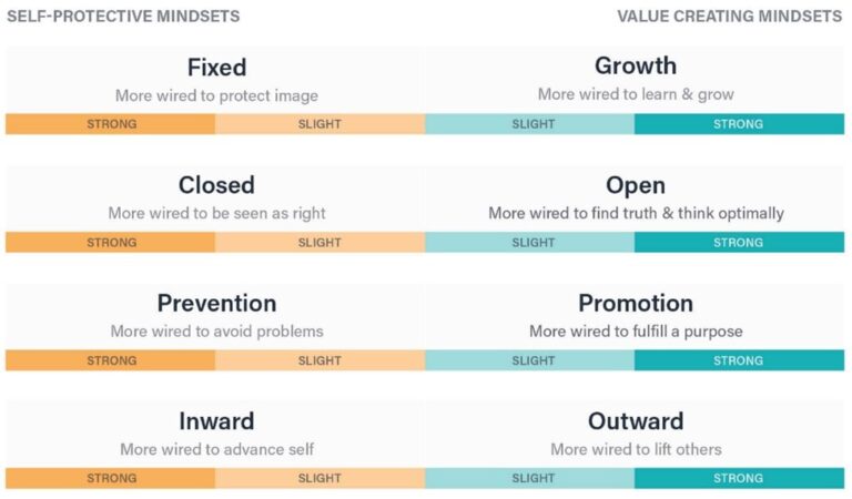 New Version of My Mindset Assessment Results - Ryan Gottfredson